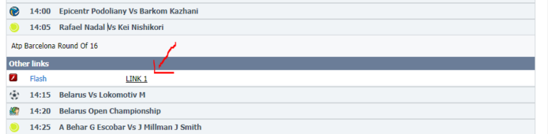 テニスを海外の無料ネット中継で見てみた